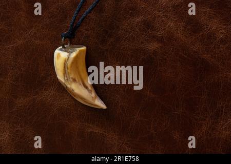 animal fang as a talisman on a lace lies on skin Stock Photo - Alamy