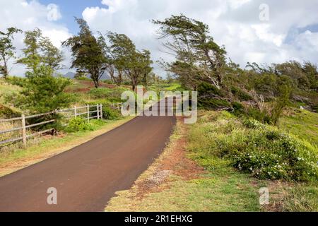 Kapaa Bike Path located on the island of Kauai, Hawaii. Also known as ...