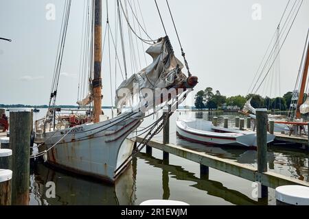A skipjack, one of the few remaining of the sail powered fishing fleet ...