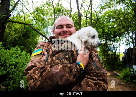 Ukrainian soldier of the 28th Artillery Battalion with a tactical war ...
