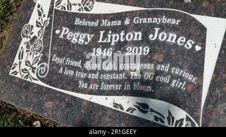 PEGGY LIPTON in THE MOD SQUAD (1968), directed by JERRY JAMESON, GENE ...