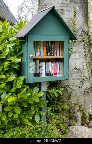 'Little Library' community book swap initiative in Old Library Woods ...