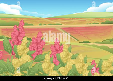 Rural landscape with quinoa flowering plant field cereal crops vector ...