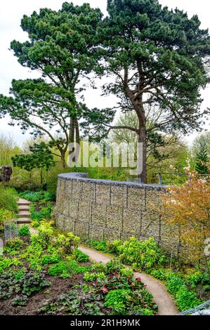 Bog in a spring season Stock Photo - Alamy