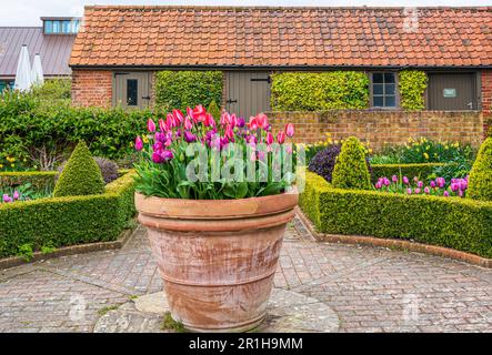 RHS Hyde Hall, farmhouse or reading room garden, on a warm spring day ...