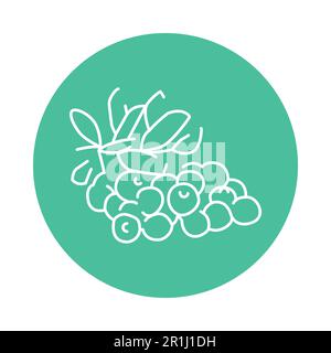 Cranberry plant color line icon. Pictogram for web page, mobile app ...