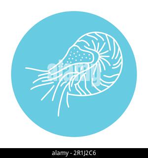 Nautilus color line illustration. Ocean fishes Stock Vector Image & Art ...