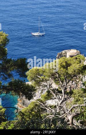 Peninsula of Giens (83 Stock Photo - Alamy