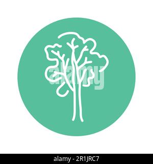 Ash tree color line icon. Pictogram for web page Stock Vector Image ...