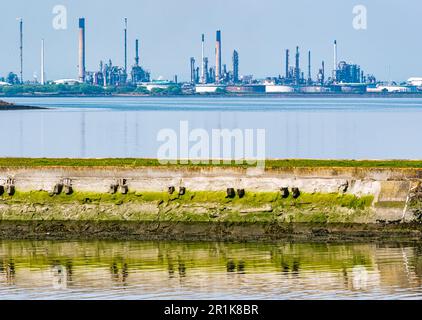 A view of industry at Grangemouth from across the Firth of Forth ...