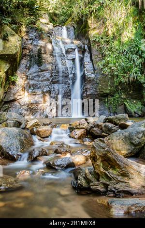 Shower Waterfall in Horto of Rio de Janeiro, Brazil Stock Photo - Alamy