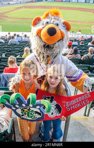 Tennessee Sevier County,Tennessee Smokies Double AA Baseball Stadium ...
