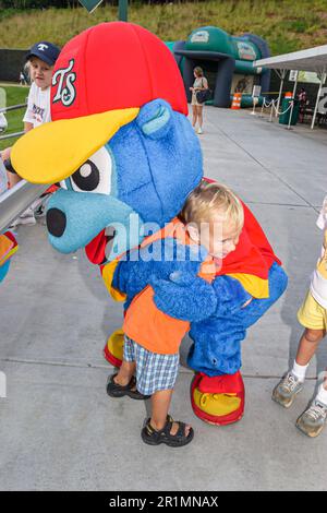 Tennessee Sevier County,Tennessee Smokies Double AA Baseball Stadium ...