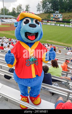 Tennessee Sevier County,Tennessee Smokies Double AA Baseball Stadium ...