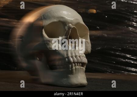 Human skull with stretch film on stone surface against black background ...