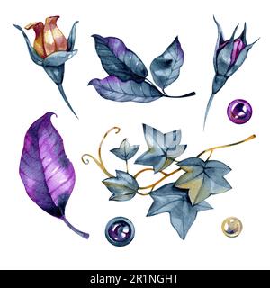 Bouquet floral botanical flowers. Wild spring leaf wildflower isolated ...