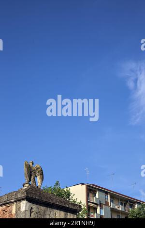Eagle statue on a gate with a blue sky as background at sunset Stock ...