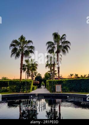 Palm trees, garden, hotel complex at Lara Beach, Lara, Antalya, Turkey ...