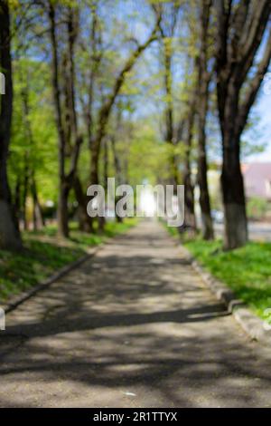 Blurred defocused abstract magic fairy light glitter by Christmas ...