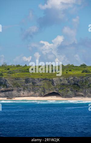 British Overseas Territory, Pitcairn Islands, Henderson Island. Rare ...