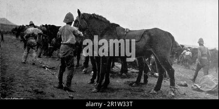 BOER WAR CAVALRY Stock Photo - Alamy