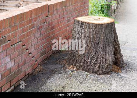 Subsidence, downward, vertical movement, Earth's surface, natural ...