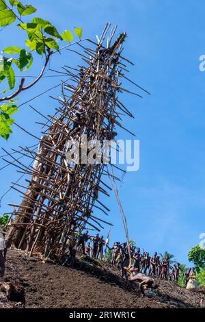 Vanuatu, Pentecost Island. Age-old ritual of land diving. Very young ...