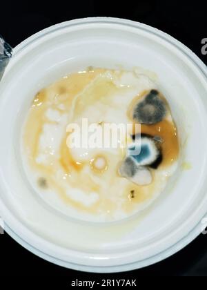 Food contaminated with mold. Mold on the yogurt Stock Photo - Alamy