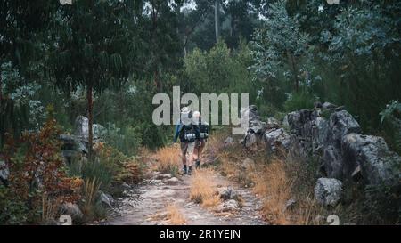Pilgrims walking the Camino Portuguese Coastal. Part of the route ...