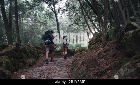 Pilgrims walking the Camino Portuguese Coastal. Part of the route ...
