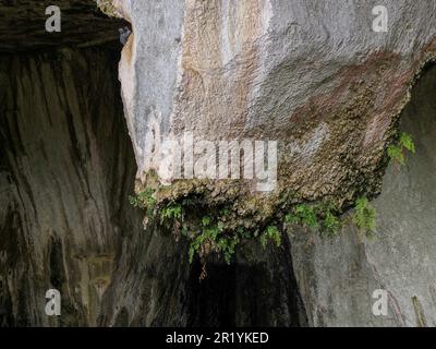 Ear of dionysus and Cave of the Nymphaeum (Grotta del Ninfeo ...