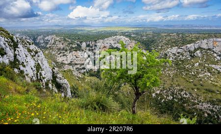 Gorge Cava Grande, Riserva Naturale die Cava Grande del Cassibile ...