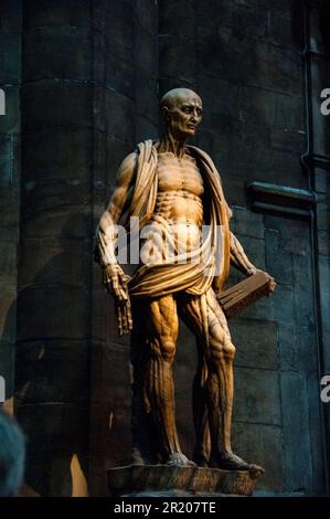 The statue of Saint Bartholomew, the apostle of Jesus Christ. Interior ...
