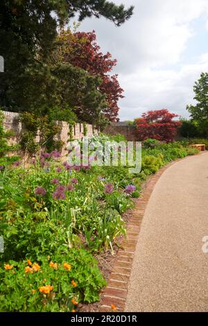 Burnby Hall Gardens in the springtime Stock Photo - Alamy