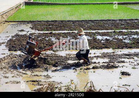 Peasant farming on the outskirts of Kaiyuan, Yunnan, China Stock Photo ...