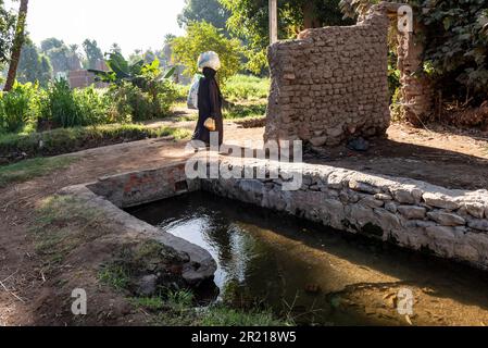 A Nubian woman carrying shopping walks past an irrigation channel on ...
