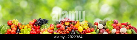 Vegetable food set of multi-colored foods for healthy eating lies on a ...