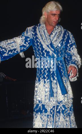1987 Ric Flair Photo by John Barrett/PHOTOlink Stock Photo - Alamy