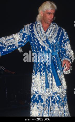 1987 Ric Flair Photo by John Barrett/PHOTOlink Stock Photo - Alamy
