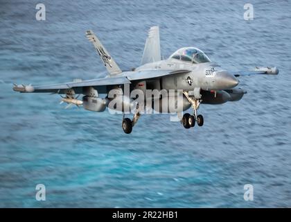 An E/A-18G Growler, attached to the "Gray Wolves" of Electronic Attack ...