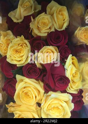 Boquet of Red and yellow roses Stock Photo - Alamy