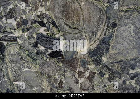 Stone textures in the Mies Van der Rohe Pavilion (or German Pavilion ...