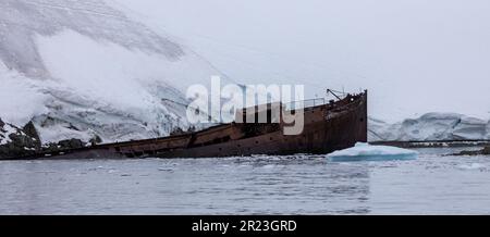 The Governoren, and old whaling vessel in Wilhelmina Bay, Antarctica ...