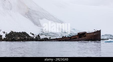 The Governoren, and old whaling vessel in Wilhelmina Bay, Antarctica ...