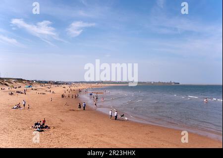 Summer crowds on Sandhaven Beach, South Shields Stock Photo - Alamy