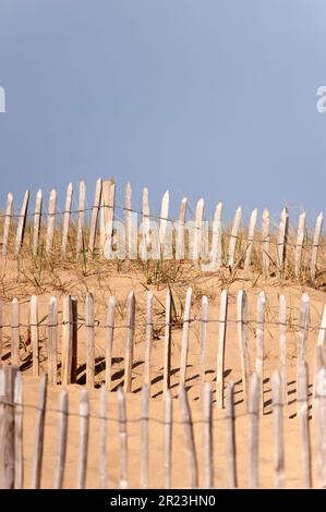 Sand trap fencing on Sandhaven Beach, South Shields Stock Photo - Alamy