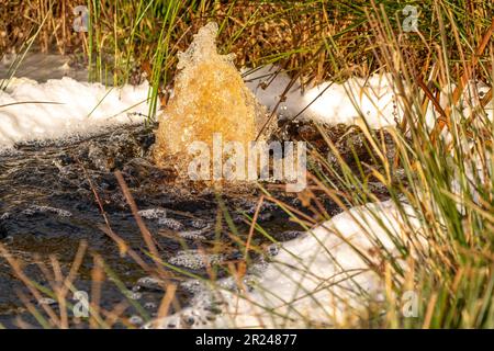 Close-up of a water source that blows up bubbling water. Spring, snow ...
