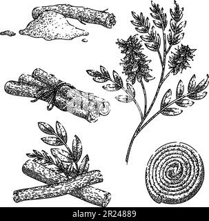 licorice liquorice root food set cartoon vector illustration Stock ...