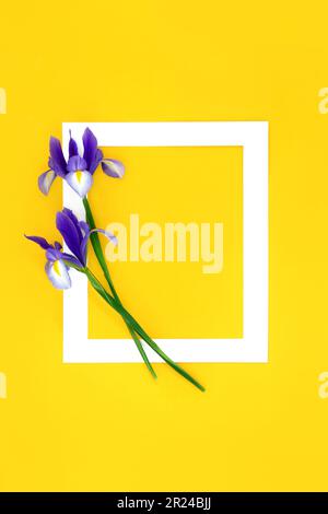 Contemporary Purple Iris Stock Photo - Alamy