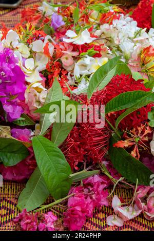 French Polynesia, Tuamoto Archipelago. Fakarava atoll, second largest ...